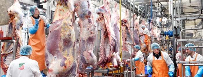 SLACHTHUIS | Sopraco nv